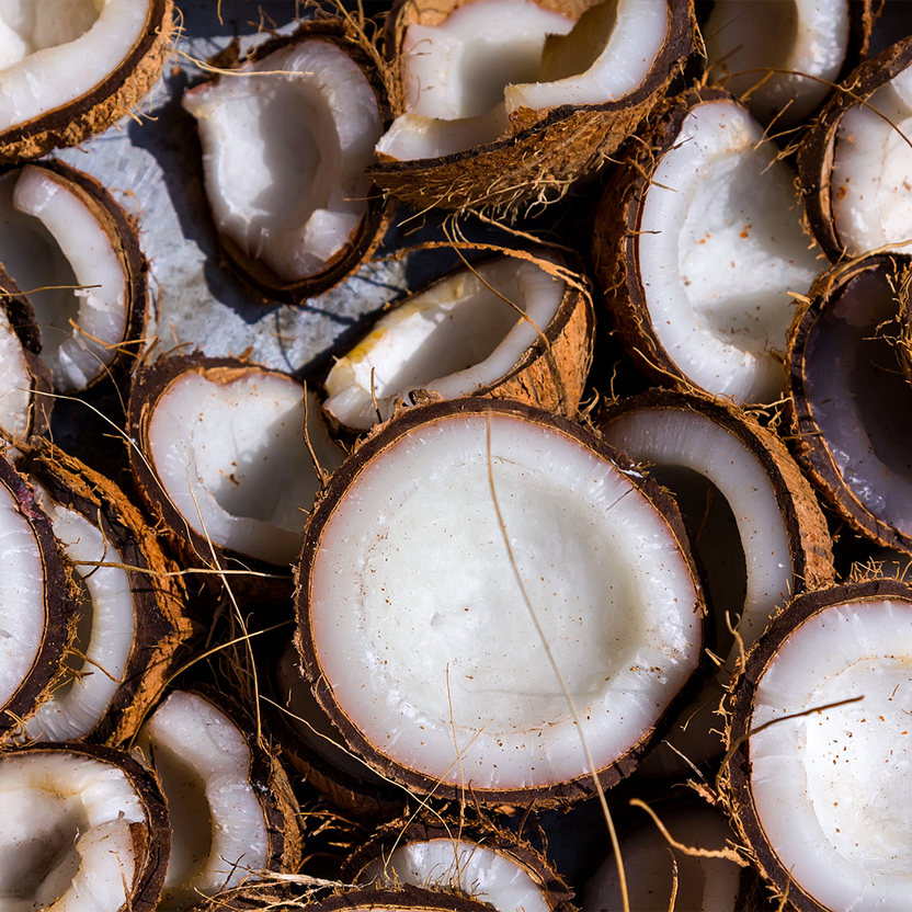 Raw Coconut Oil for Skin, Hair and Beauty – COCO & CO. Beauty